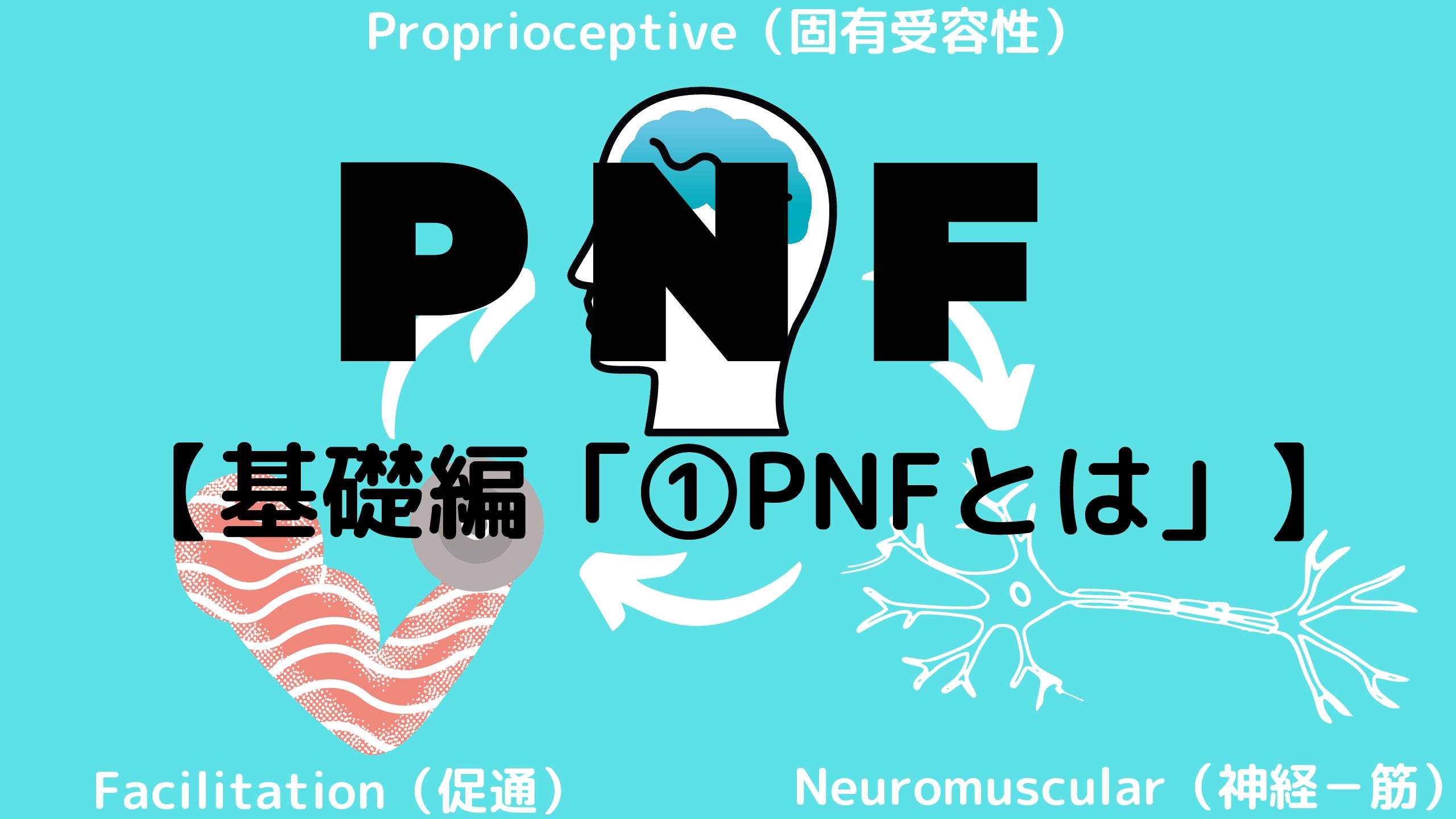 起居・歩行に対するPNFアプローチ【基礎編「①PNFとは」】 - いちかわ魚屋整体 with Overlization