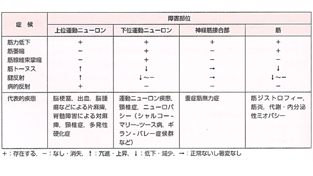 麻痺とは？ －What`s MAHI？－ 運動麻痺の症状 - いちかわ魚屋整体 with Overlization